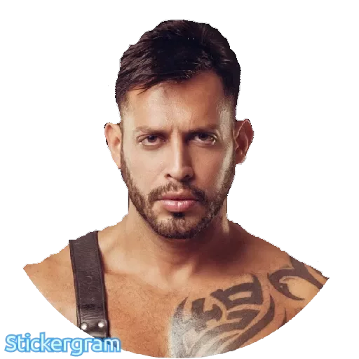 Набор стикеров «Viktor rom» для Telegram бесплатно и без регистрации